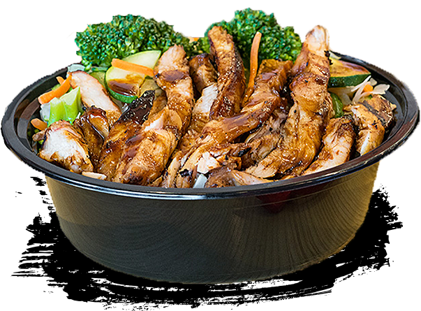 Chicken Breast Teriyaki | Teriyaki Madness